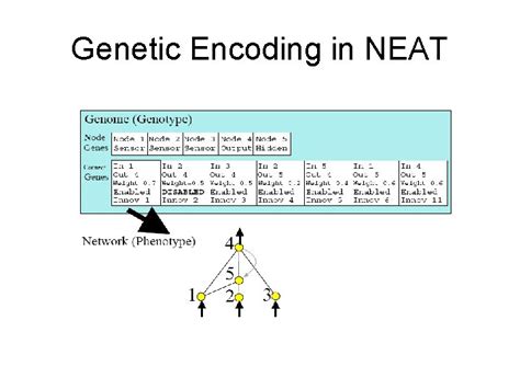 Cap 6938 Neuroevolution And Developmental Encoding Neuro Evolution