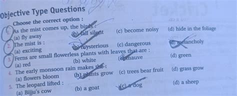Objective Type Questionschoose The Correct Option 1 As The Mist Come