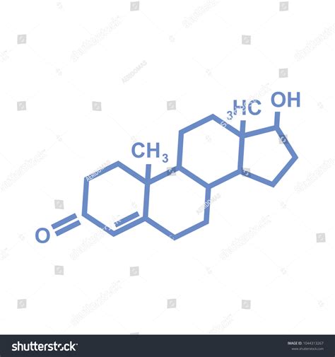 Testosterone Scheme Vector Stock Vector Royalty Free 1044313267