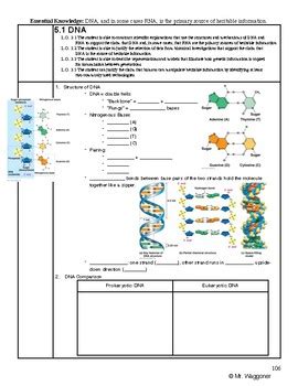 DNA Structure Guided Notes By Mr Waggoner Chemistry Biology NGSS
