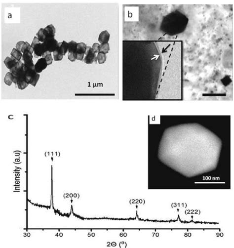 TEM Images Representing A The Hexagonal Shaped Lipid Templates Formed Download Scientific