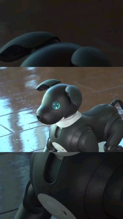 Aditya Ranjan Patro On Linkedin Aibo Bigdata Analytics Datascience Ai Mwc23