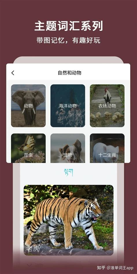 《牦牦学藏语》app：小学初高中生常用的藏汉翻译通同款背单词软件，iphone藏文词典工具功能介绍！ 知乎