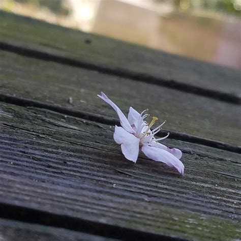 Andrea Gunnell Youtube