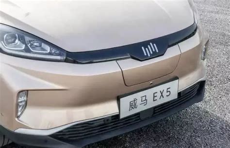 五道竖线的车标是什么车 有驾