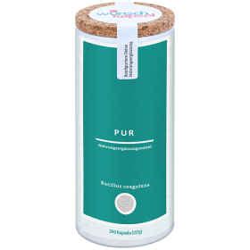 Bacillus coagulans/ Пробиотик Бацилус коагуланс 2.5 млрд. активни ...