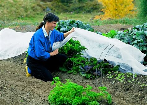 Protect Plants From A Late Spring Frost With These Tips Hgtv