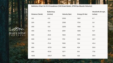 Mastering Long Range Ballistics The Long Range Shooter And Hunters Edge