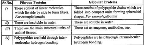 Punjabi What Is The Difference Between Globular And Fibrous Protein