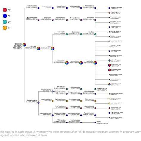 T Test Analyses Of Different Microbes Between The Groups T Test