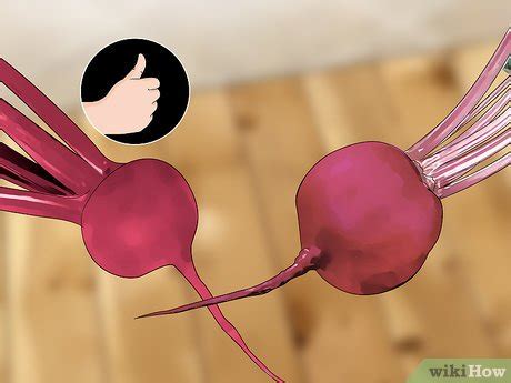 How To Choose Beetroot 13 Steps With Pictures WikiHow Life
