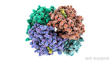 前沿 结构生物学也将被用于临床诊断？研究发现不同的蛋白质结构可做为生物标志物用于帕金森病的诊断 知乎