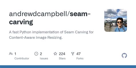 Github Andrewdcampbellseam Carving A Fast Python Implementation Of