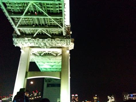 夏の思い出 fnwiya s quine