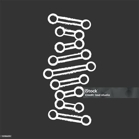 Dna 나선 분필 아이콘입니다 연결된 점 선 데옥시리보핵 핵산 구조 나선형 가닥 염색체 분자 생물학 유전 코드 유전학 절연 벡터