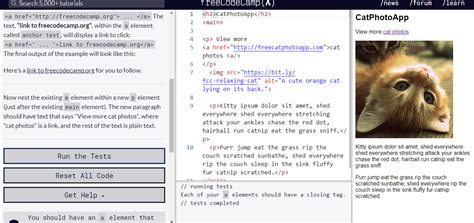 Confusing Test Failing Message Html Css The Freecodecamp Forum