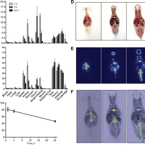 Decay Chain And Properties Of Radium 223 A The Predominant Alpha α