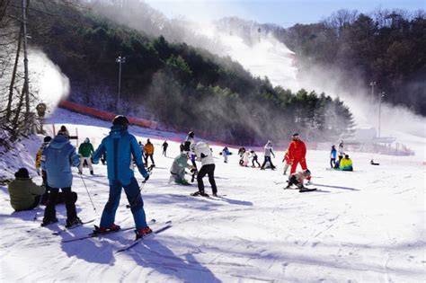 비발디파크 어린이 스키강습 레슨 추천 스키장준비물 장비렌탈패키지 총정리 네이버 블로그