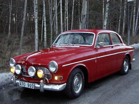 Marcello S Beauties Amazon Beauties