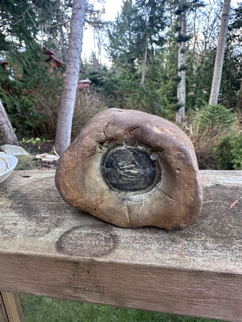 Is This A Fossilized Bone Rwhatsthisrock