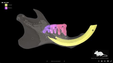 Sketchfab Tutorial 1 Uploading And Editing Models Within Sketchfab YouTube