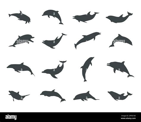 Dolphin Silhouettes Jumping Dolphins Silhouette Dolphin Vector Stock