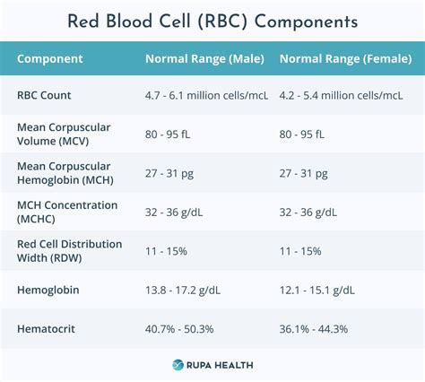 Blood Cbc Differential Test Guide