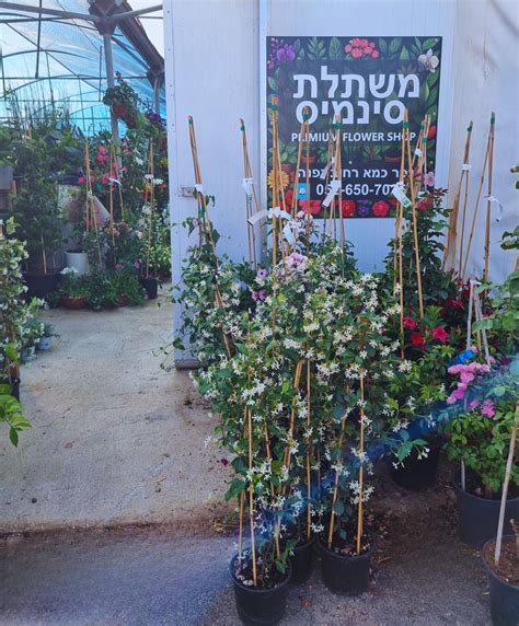 בתי צמיחה מי עמי Mei`ami