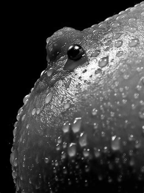 Droplets R Eroticabstraction