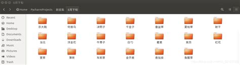 Pytorch搭建训练自己数据集的模型预处理、读取自己的图片、进行训练和测试、保存模型、加载模型和测试）pytorch加载自己训练好的模型一个小猴子`的博客 Csdn博客