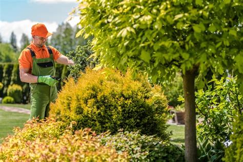 Premium Photo Man Pruning Plants In Garden