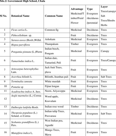 Categorization Of Plants Based On Their Habit And Growth Pattern In