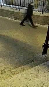 Où Es Tu Liam Toman Radio Canadaca