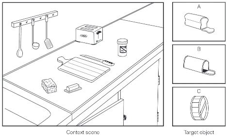 Kaarten Task Object Recognition Quizlet