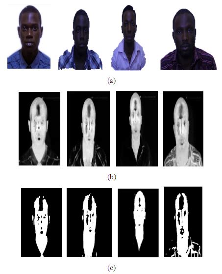 A Hybrid Skin Colour Based Face Detection System To Optimally Detect Black Faces