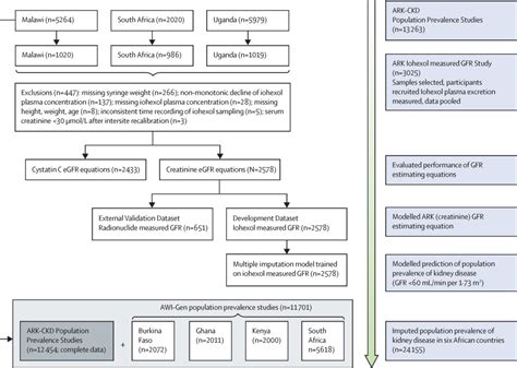 Ckd Classification