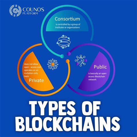 understanding the different types of blockchain networks