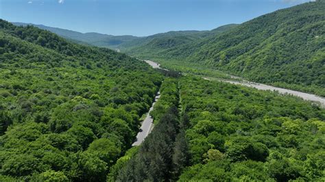 საავტომობილო შიდასახელმწიფოებრივი მნიშვნელობის ვაზიანი გომბორი თელავის საავტომობილო გზის 33 6