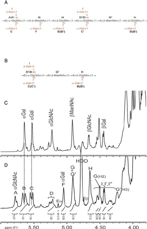 Comparison Of The Repeating Unit Structures Of The Bacillus Scwp And Download Scientific
