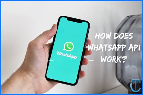 How Does Whatsapp API Work Net Core MVC HTML Agility Pack SQL