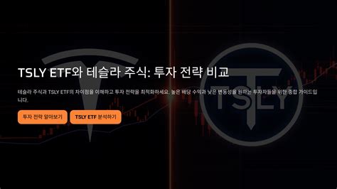 테슬라 주식에 투자하면서 최고의 배당을 받는 월배당 옵션 Etf