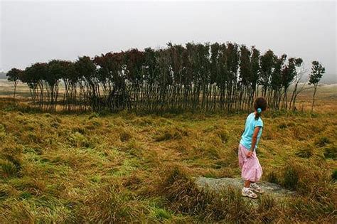 logistic regression for machine learning