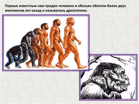 Начало истории человечества - online presentation