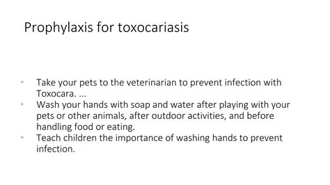 Toxocariasis Pptx In Depth Review Of Toxocariasis Pptx