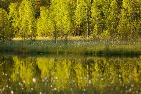 Karelien-Reisen: Rundreisen im Sommer & Winter - Urlaub mit Go East