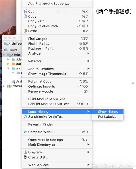 intellij idea 中不小心把文件删错了怎么半？（mac） 阿里云开发者社区