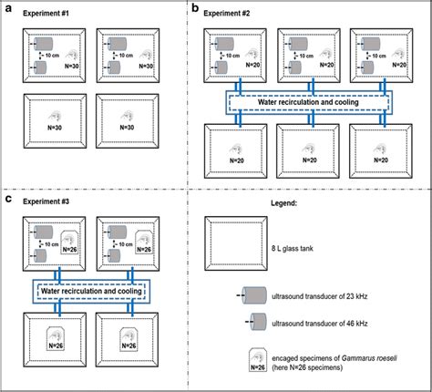 Ultrasonic Experimental Setup Three Experiments Were Performed A Download Scientific Diagram