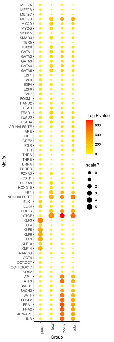 peak annotation and homer analysis