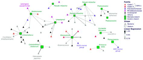Co Occurrence Networks Subset Of Diatoms And Bacteria Correlations Are