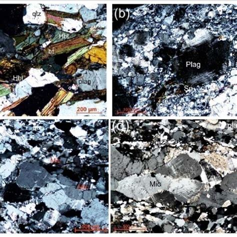 A Equigranular Granodiorite With Hypidiomorphic Plagioclase And